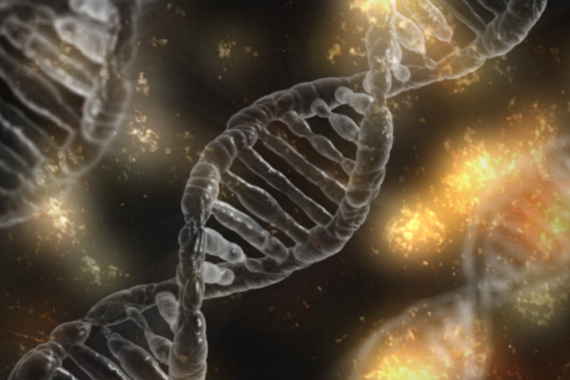 Verlust von Genen kann Vorteile bringen | hpd