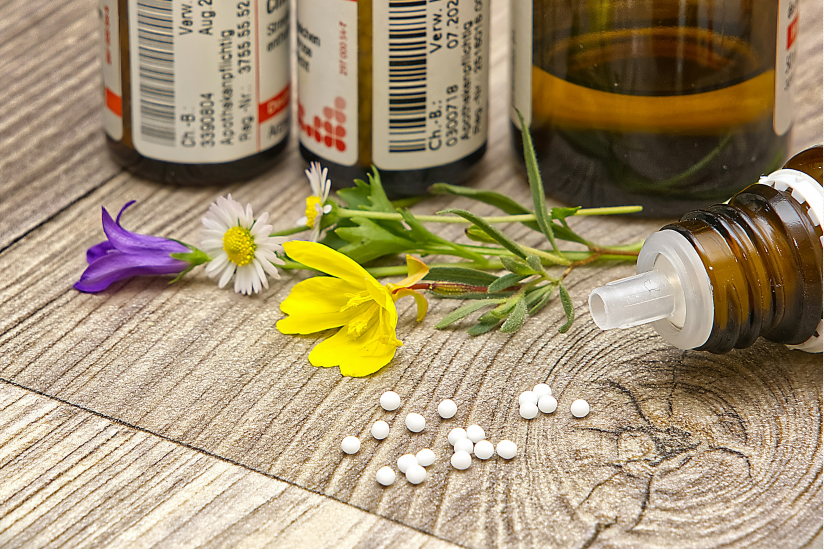 Evolution statt Revolution | hpd